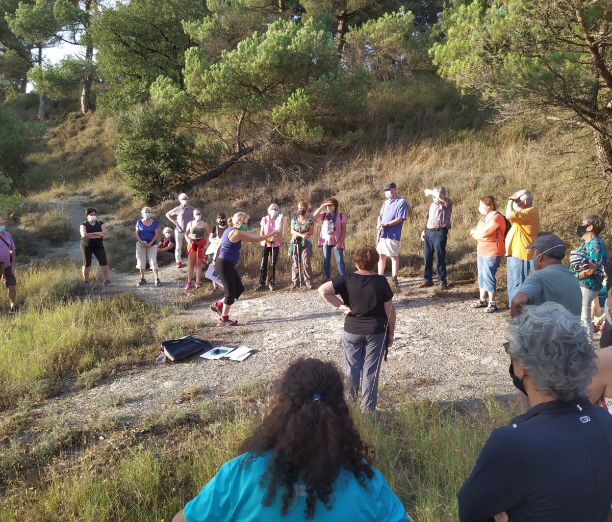 Geologia de Taradell - Ajuntament de Taradell