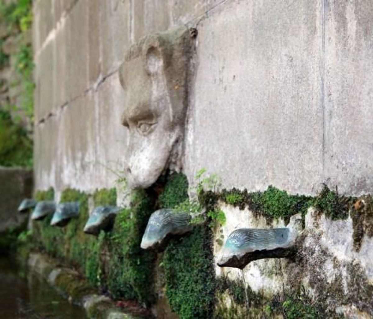 El parc de la Font Gran - Descobreix Taradell
